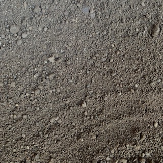 Boring Bark